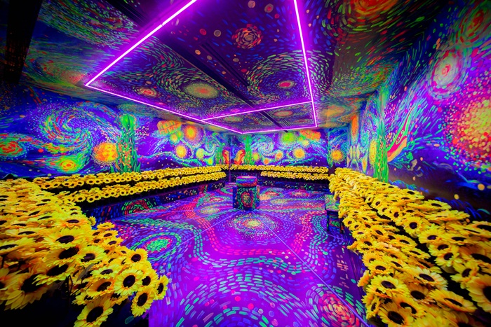 Vé Triển Lãm Nghệ Thuật Ánh Sáng Metashow | Việt Nam